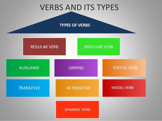 The verb