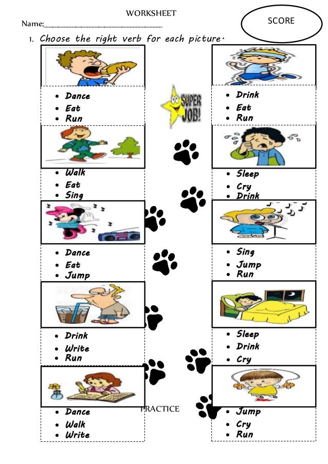 The verbs to primary and secondary