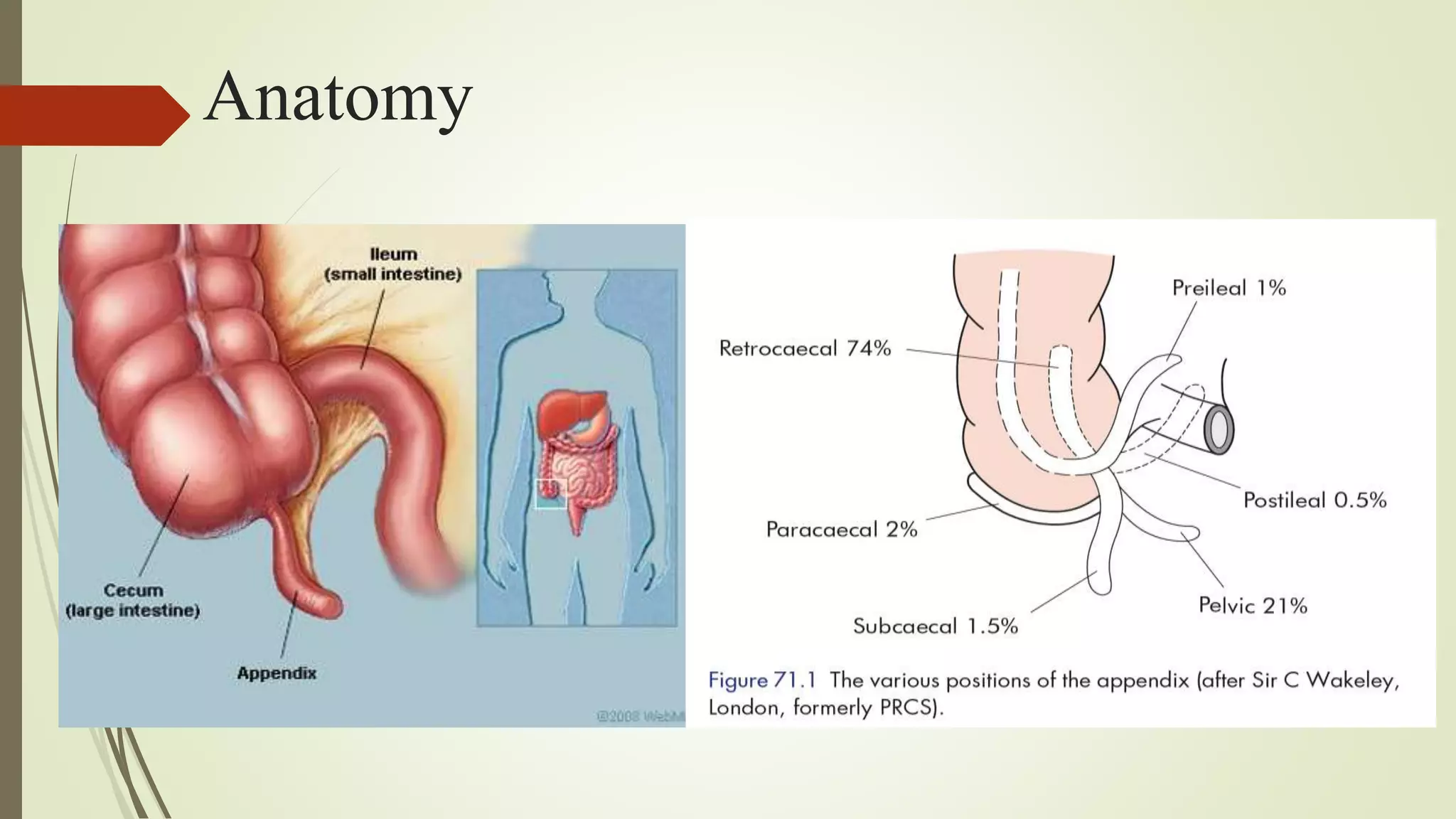 The Vermiform Appendix.pptx