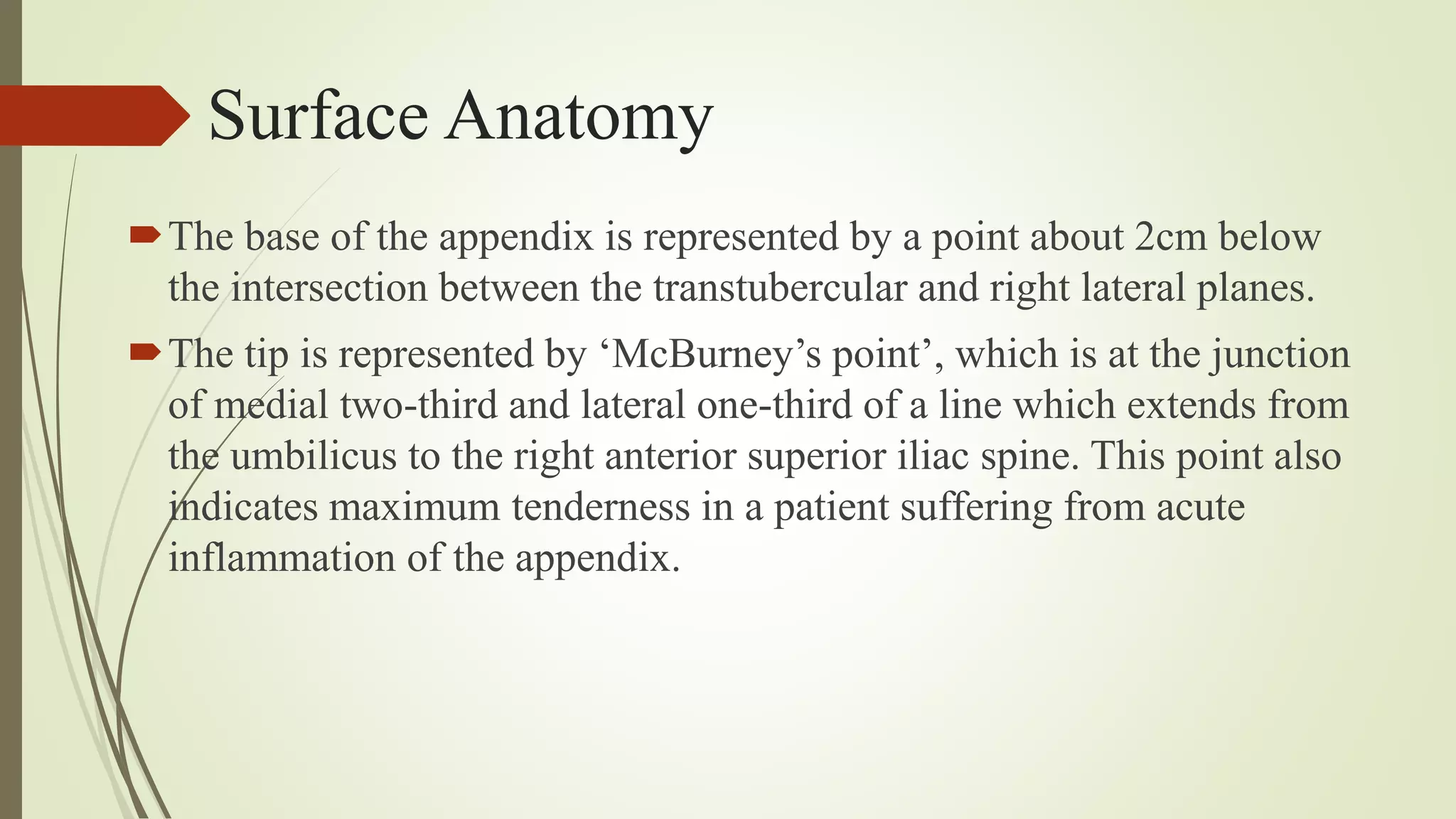 The Vermiform Appendix.pptx