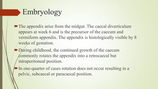 The Vermiform Appendix.pptx