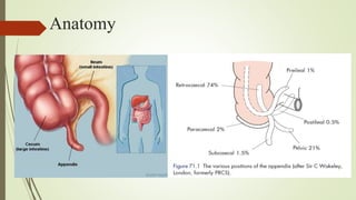 The Vermiform Appendix.pptx