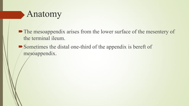 The Vermiform Appendix.pptx | Digestive Disorders | Diseases and Conditions