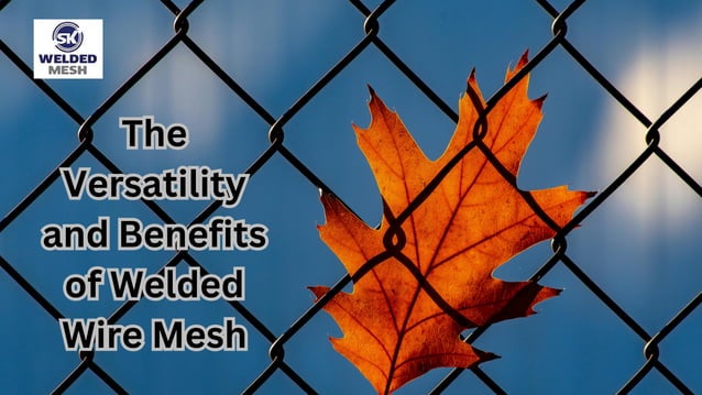 The Versatility and Benefits of Welded Wire Mesh.pdf