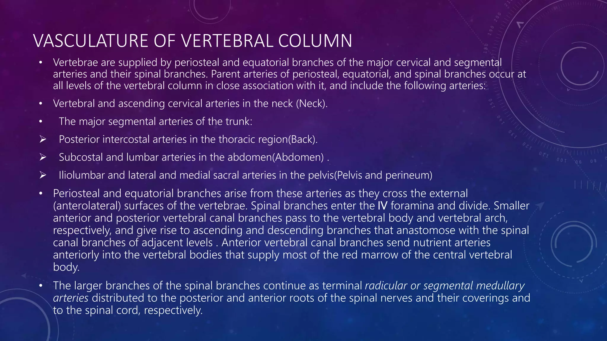 The vertebral column.pptx