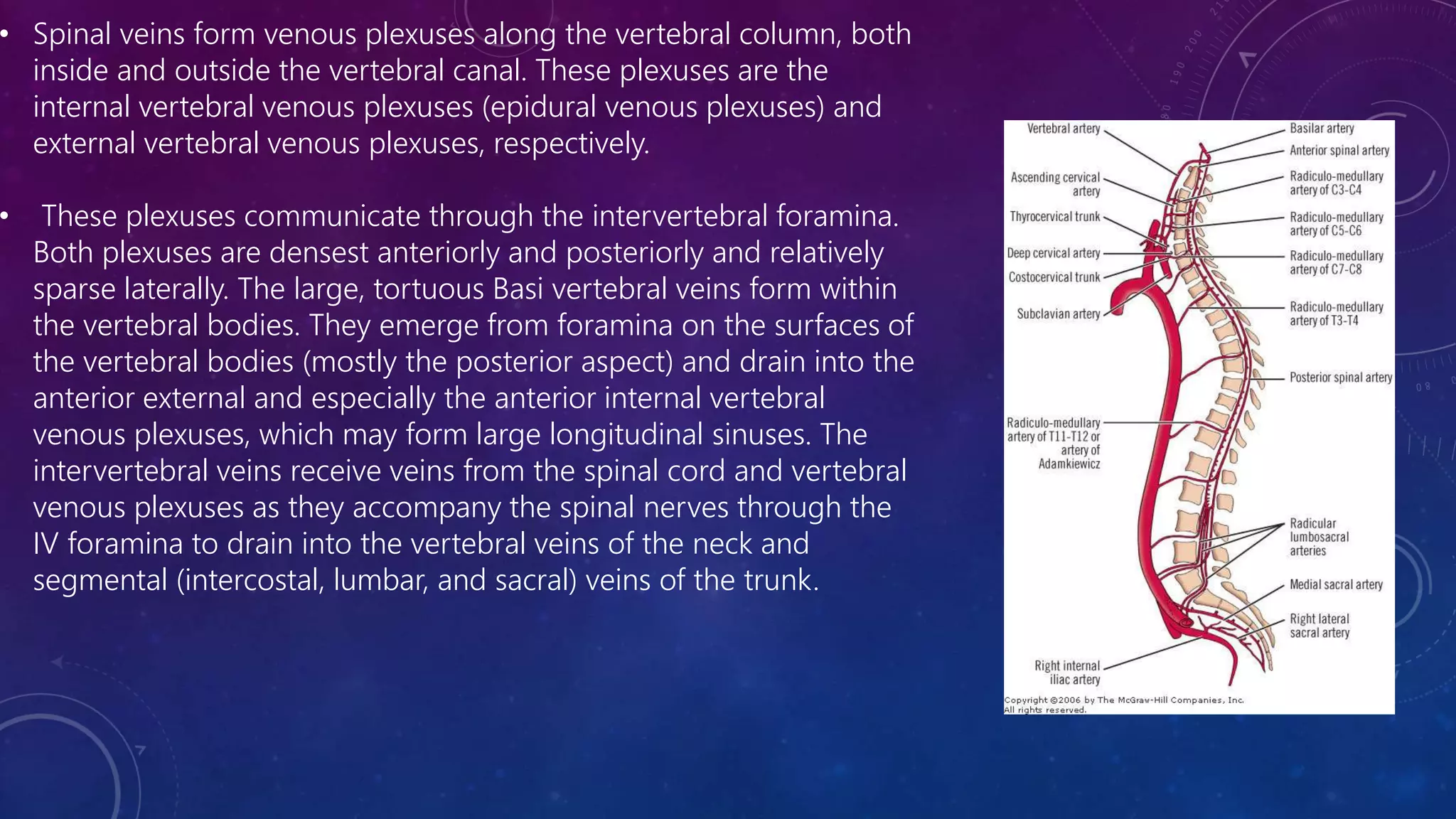 The vertebral column.pptx
