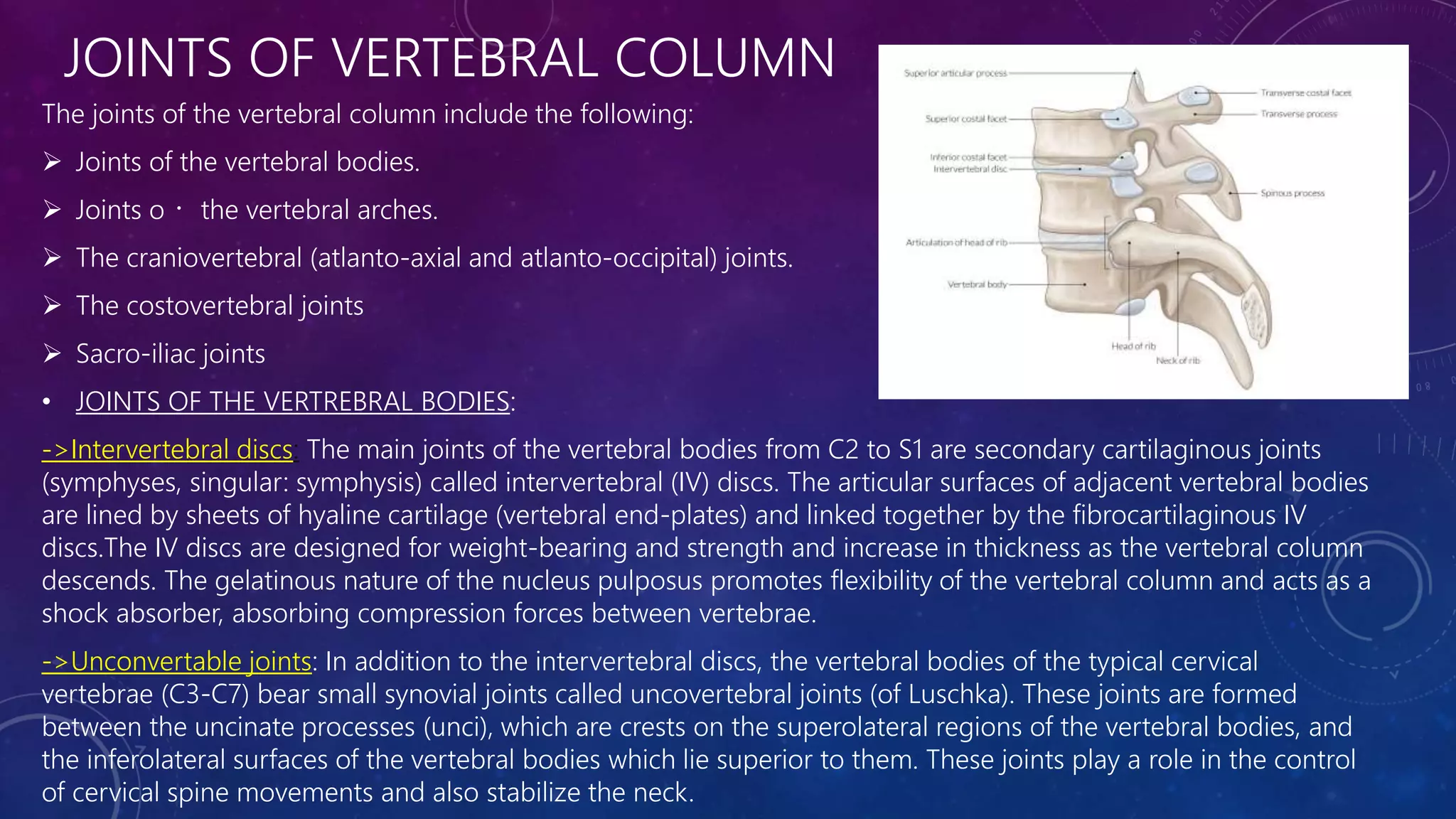 The vertebral column.pptx
