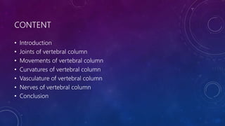 The vertebral column.pptx