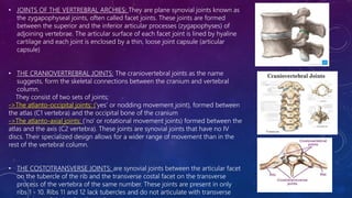 The vertebral column.pptx