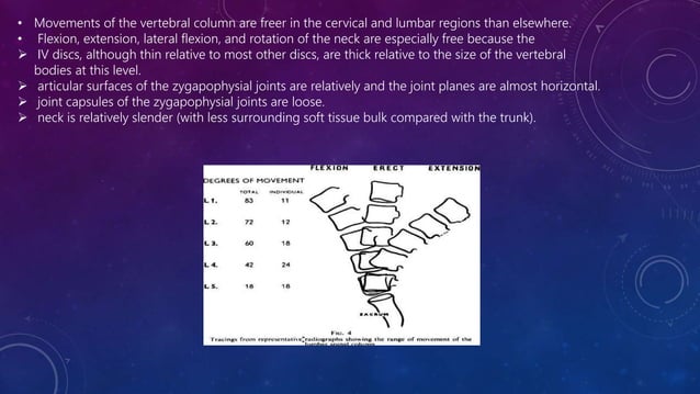 The vertebral column.pptx