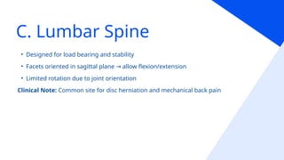 Biomechanics of the Vertebral Column: Structure, Movement & Clinical ...