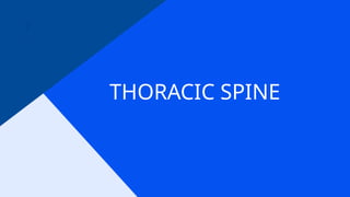 Biomechanics of the Vertebral Column: Structure, Movement & Clinical ...