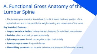 Biomechanics of the Vertebral Column: Structure, Movement & Clinical ...