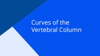 Biomechanics of the Vertebral Column: Structure, Movement & Clinical ...