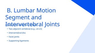Biomechanics of the Vertebral Column: Structure, Movement & Clinical ...
