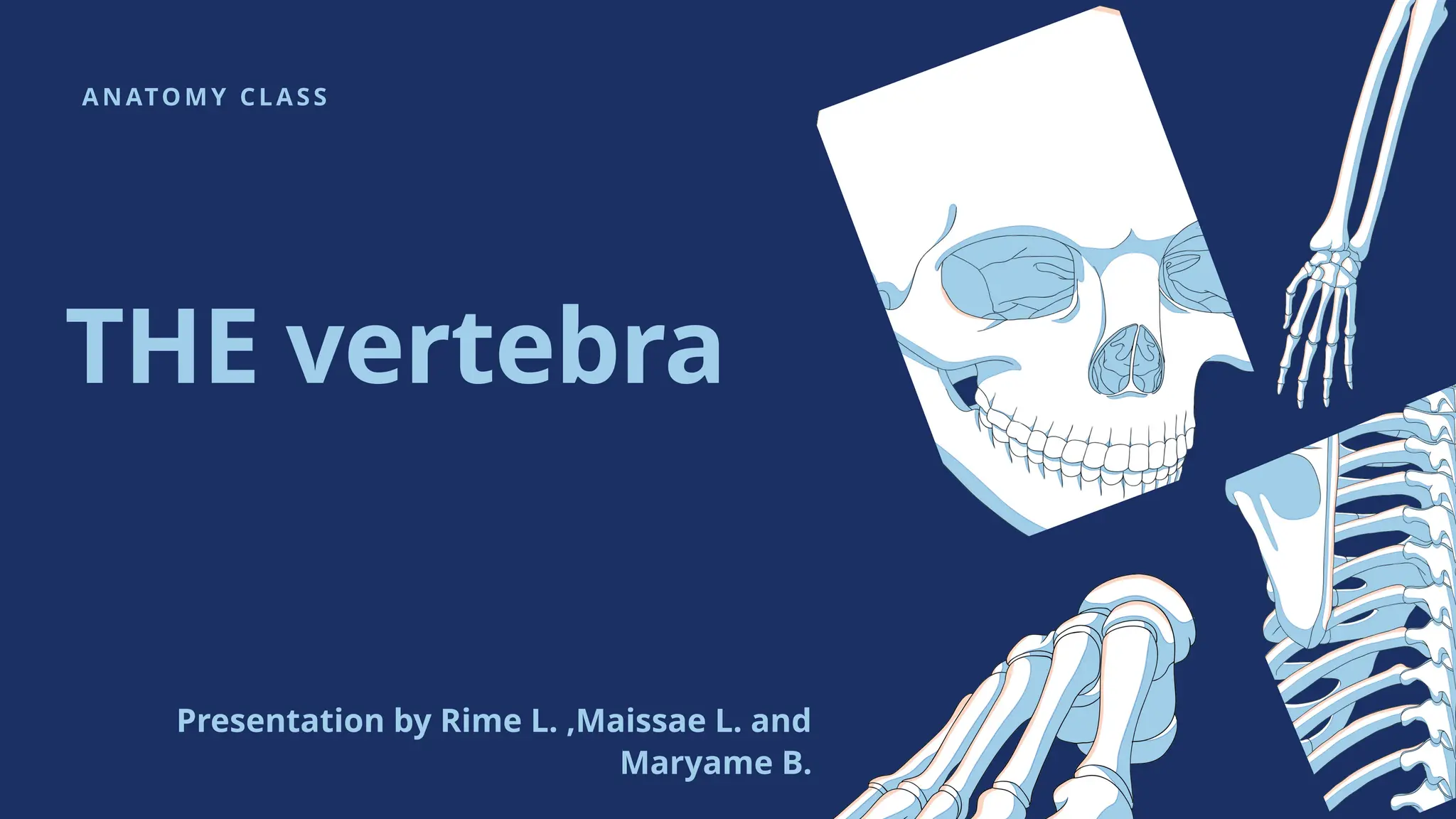 The Vertebral Columnpresemtation (Final Ver.).pptx