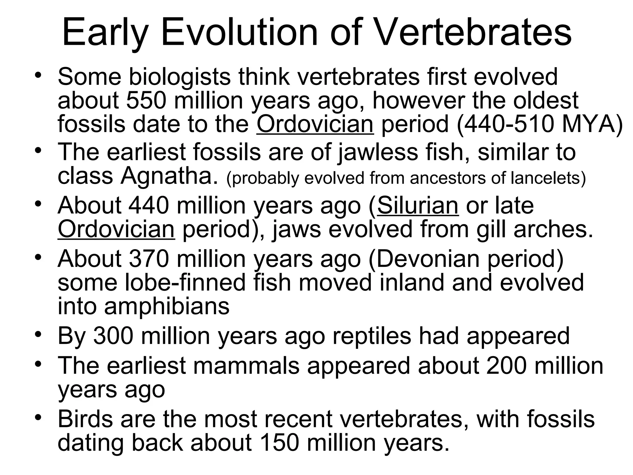 The vertebrates | PPT
