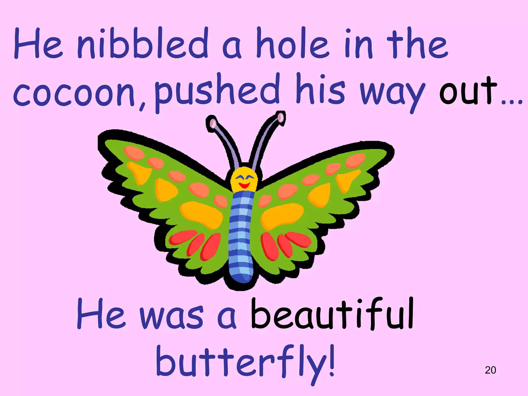 The very hungry caterpillar | PPS