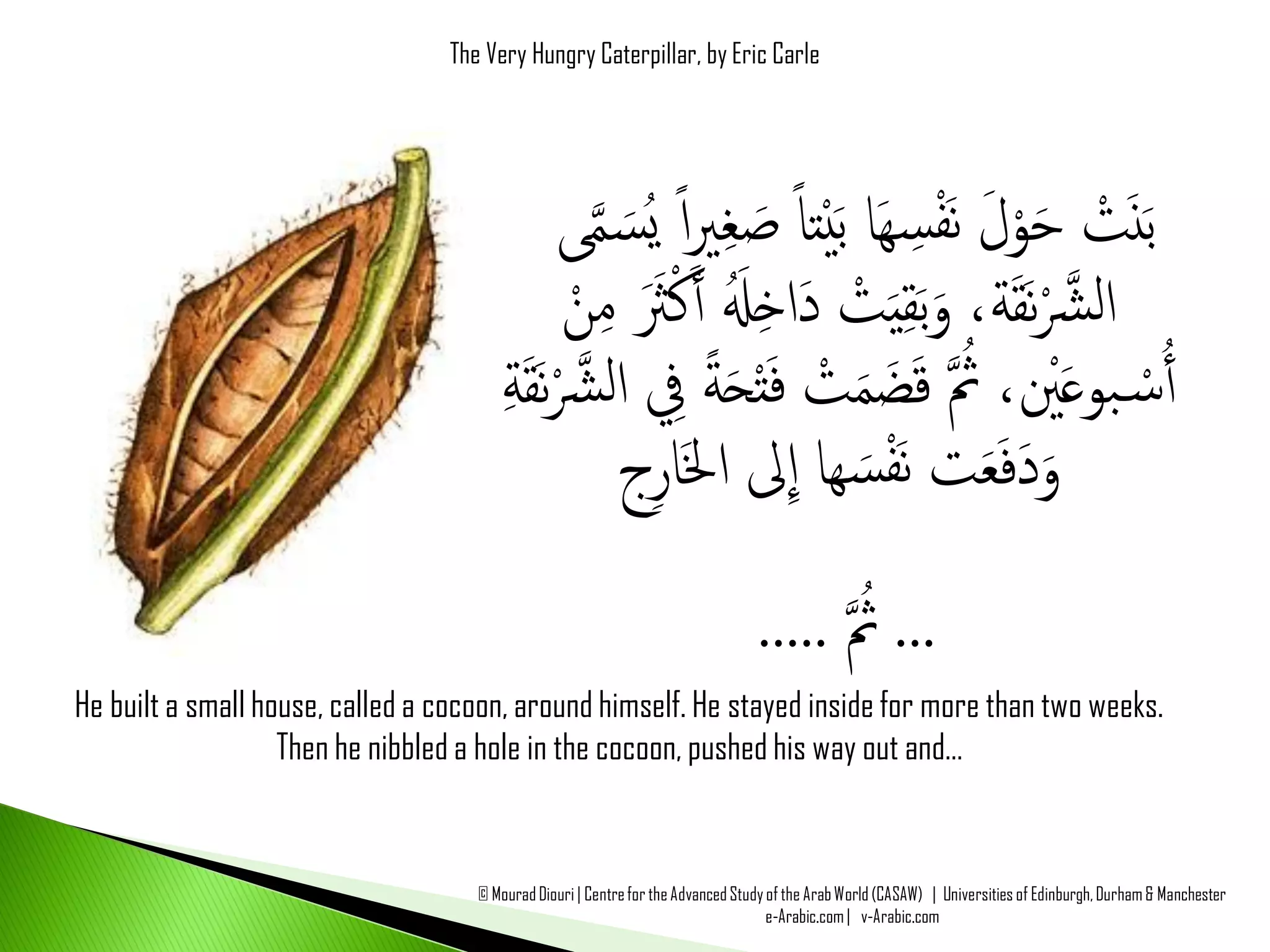 The very hungry caterpillar (arabic english) | PDF