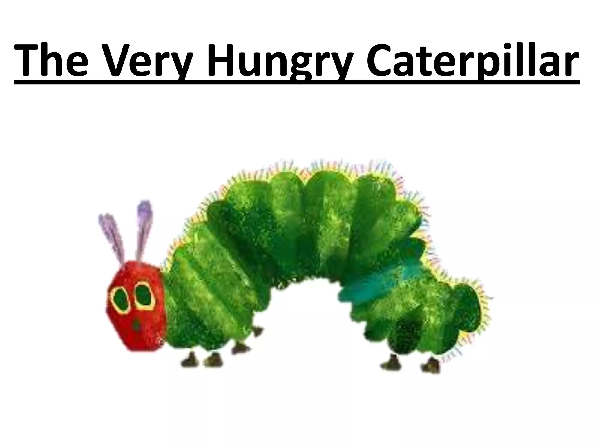 The very hungry caterpillar power point | PPTX