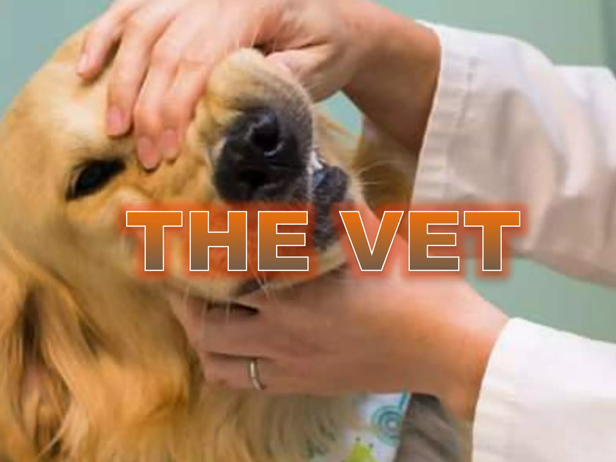 'The vet' std 8th L.L English SSC board | PPTX