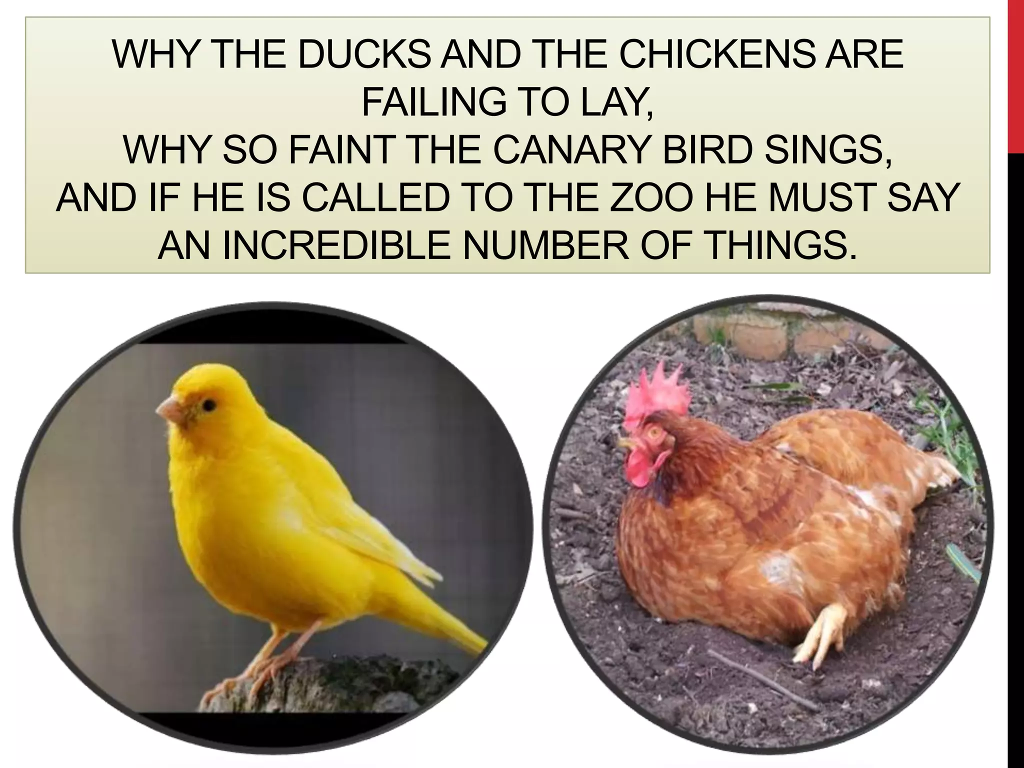 'The vet' std 8th L.L English SSC board | PPTX