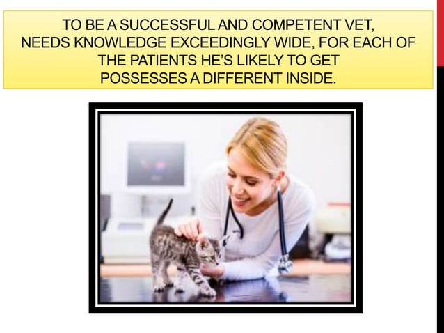 'The vet' std 8th L.L English SSC board | PPTX | Veterinary Medicine | Pets