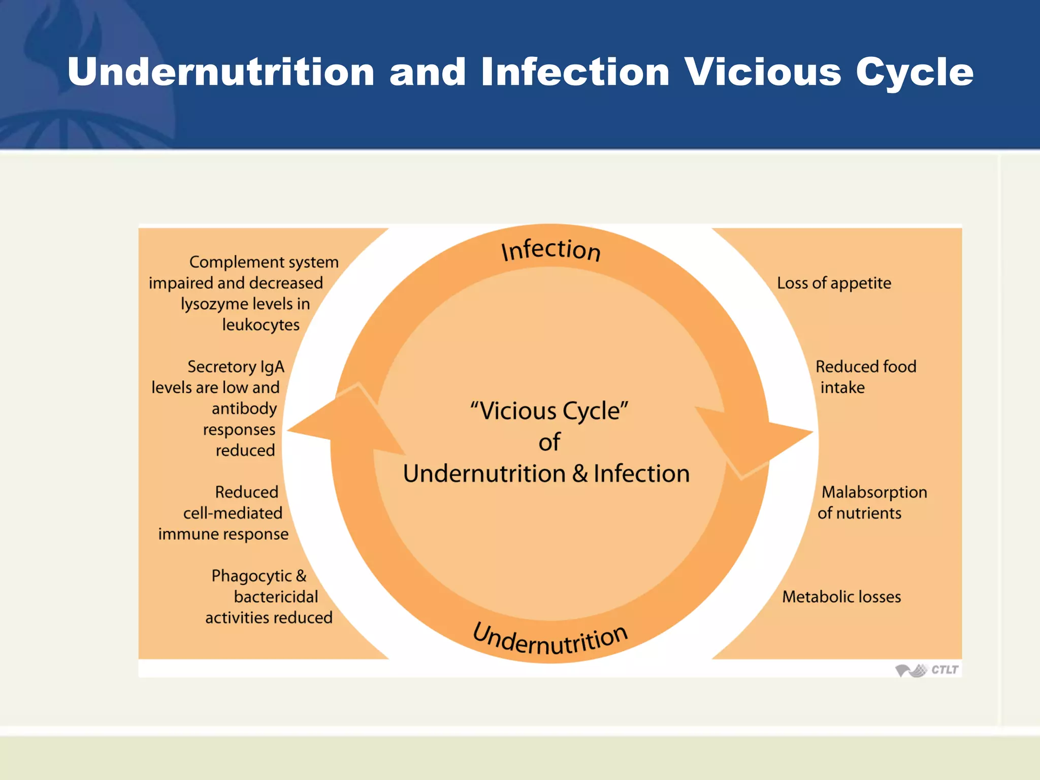 The Vicious Cycle of Diarrhea and Malnutrition: Nutritional Risk ...