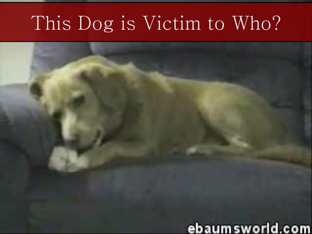 The victim v's ownership | PPT