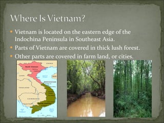 The vietnam war | PPT