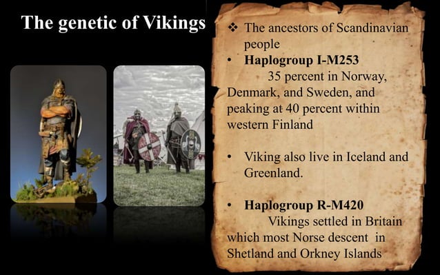 The vikings age presentation | PPTX