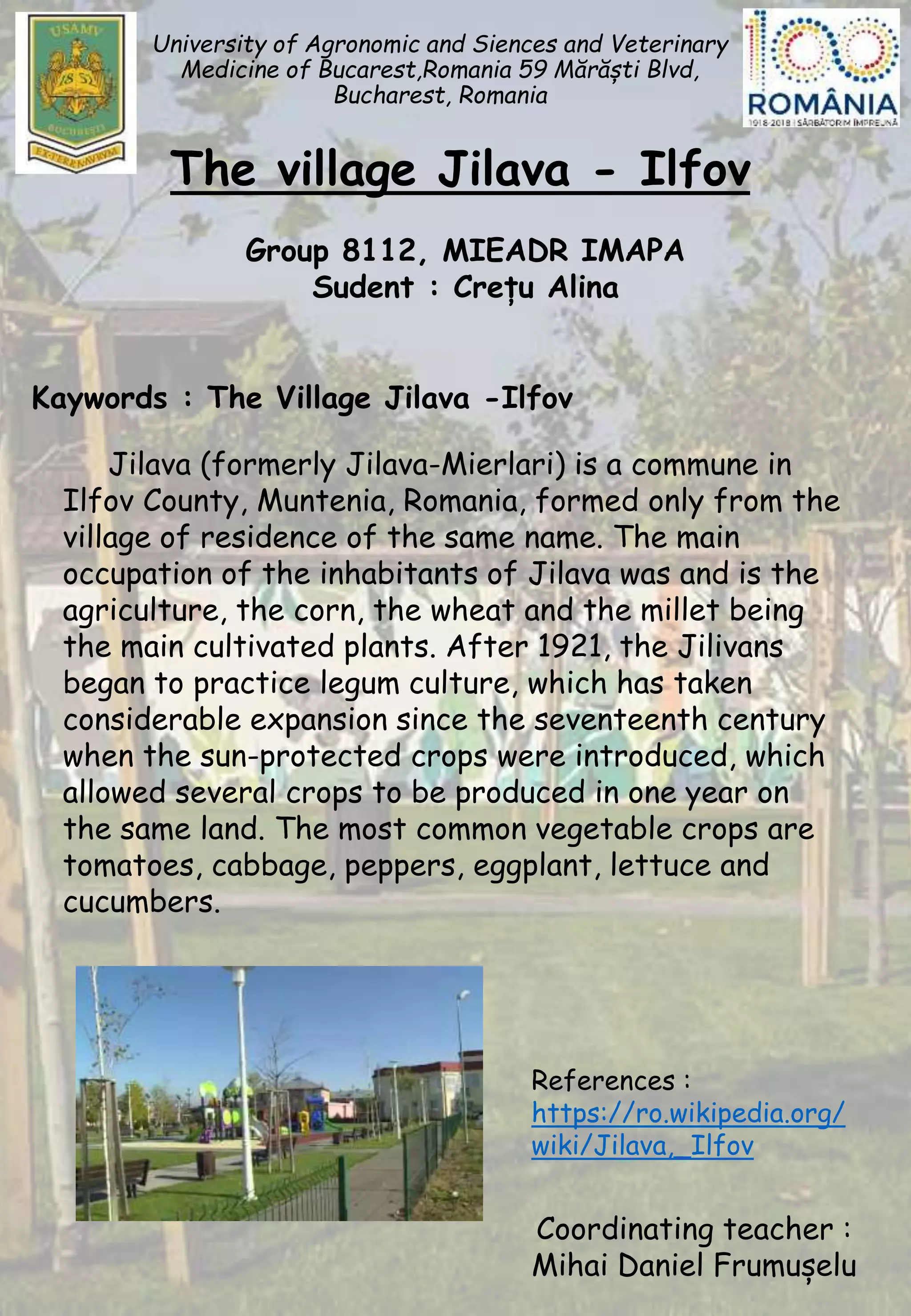 The village jilava | PPTX