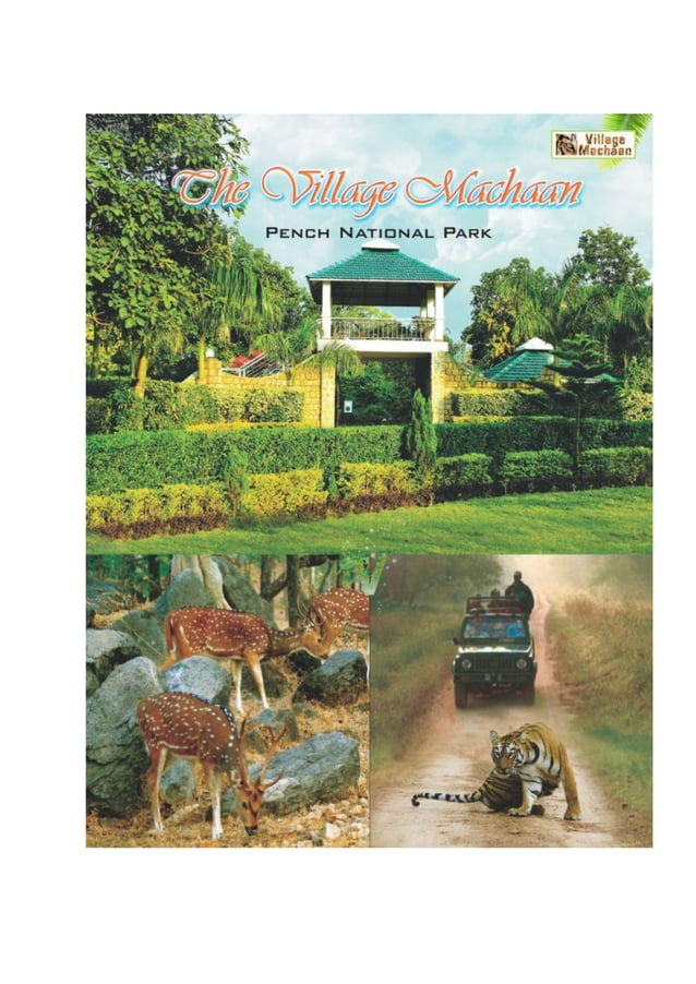 The village machaan | PDF