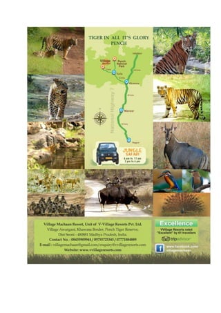 The village machaan | PDF