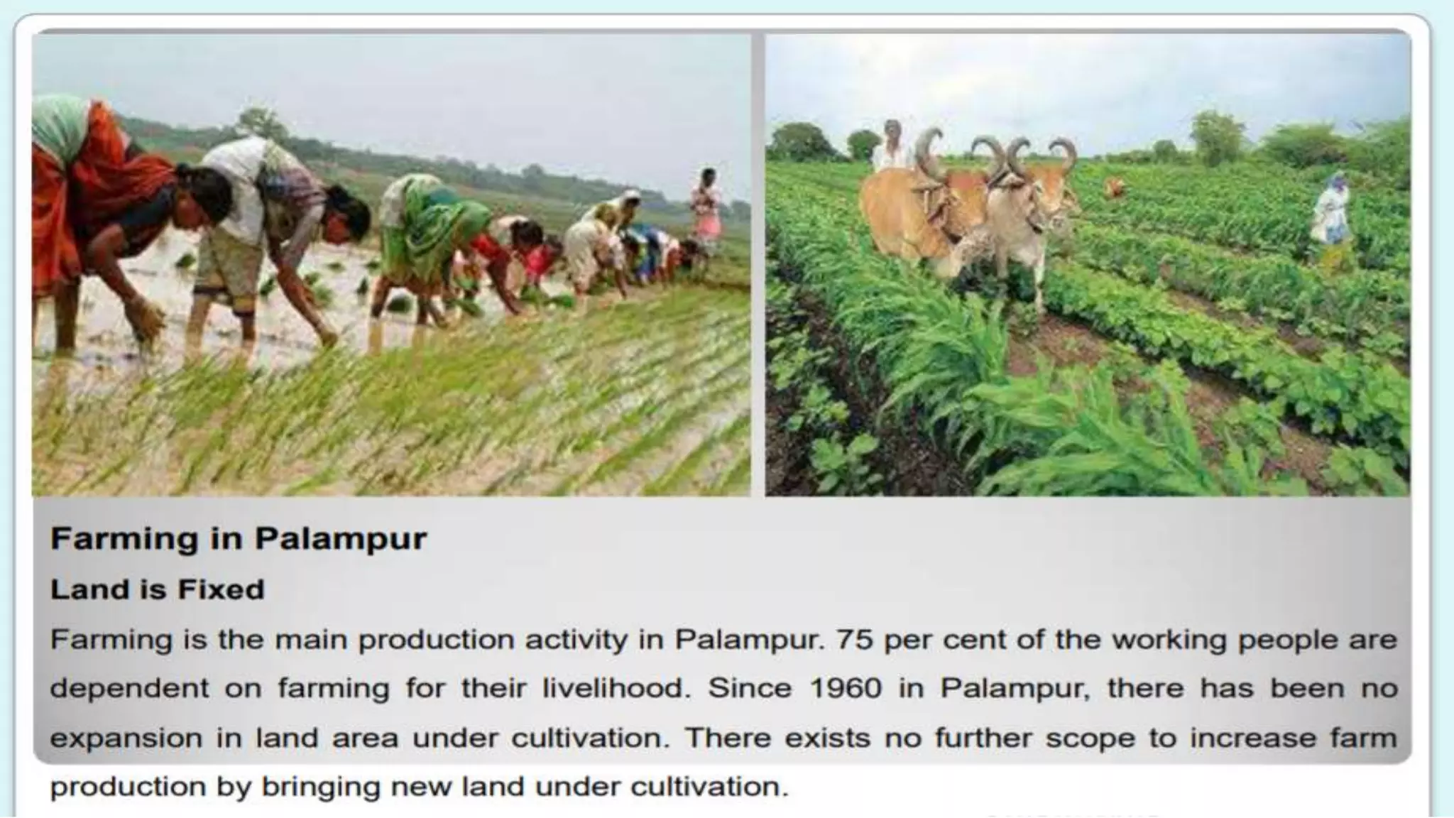 The story of village palampur class 9th ncert | PPTX