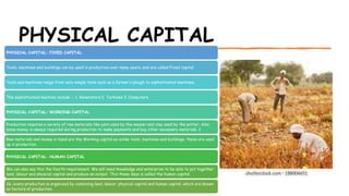 The story of village palampur class 9th ncert | PPTX