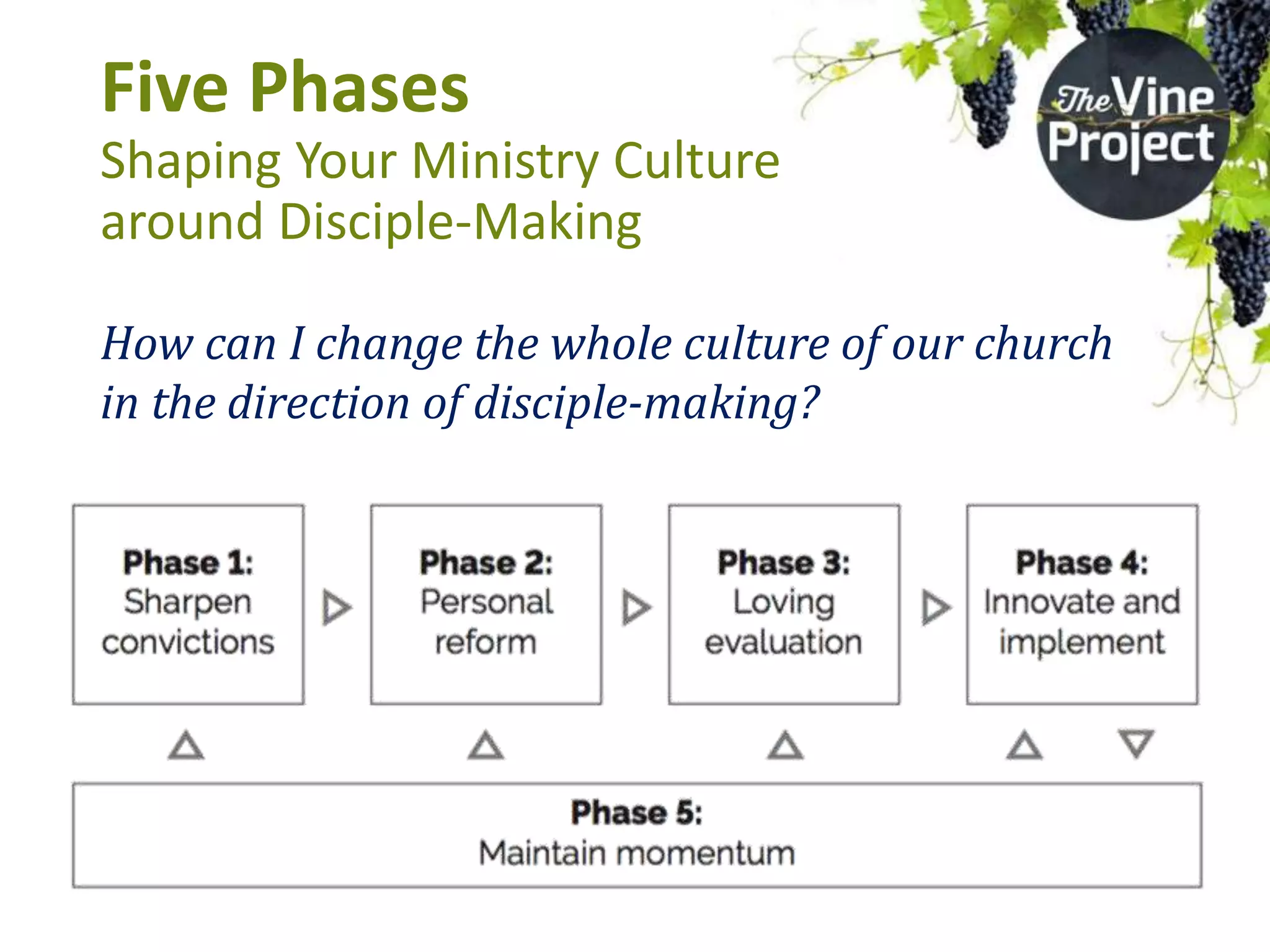 The Vine Project | PPT
