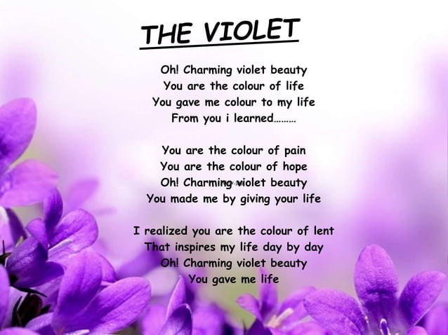 The violet | PPTX