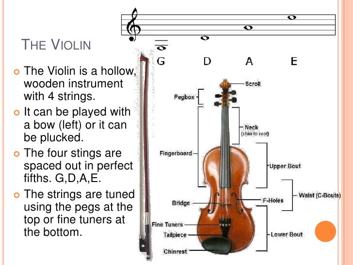 The violin