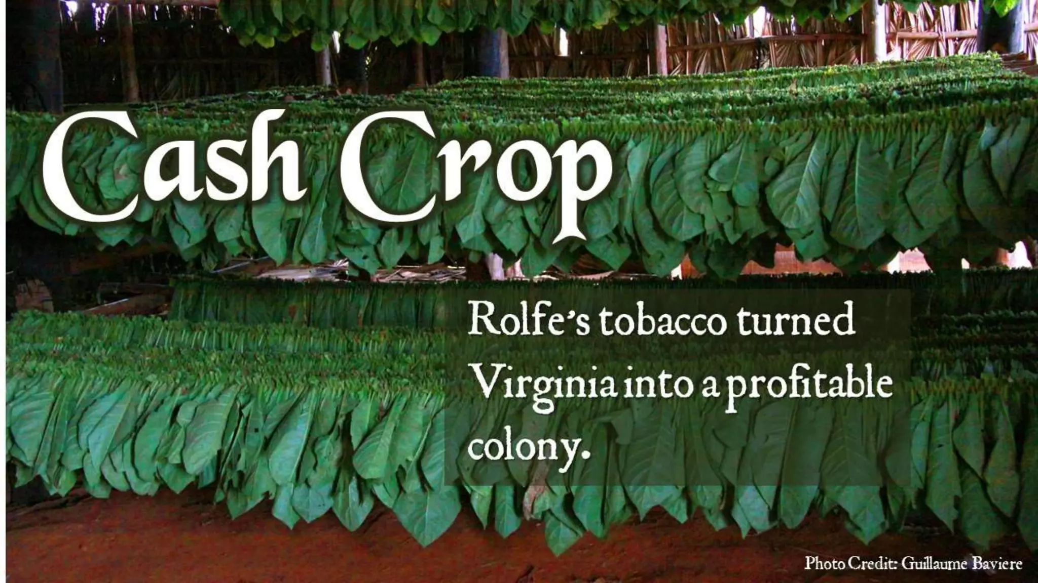 The Virginia Colony | PPTX