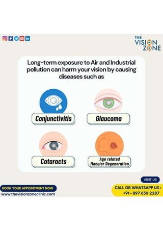 the vision zone.pdf