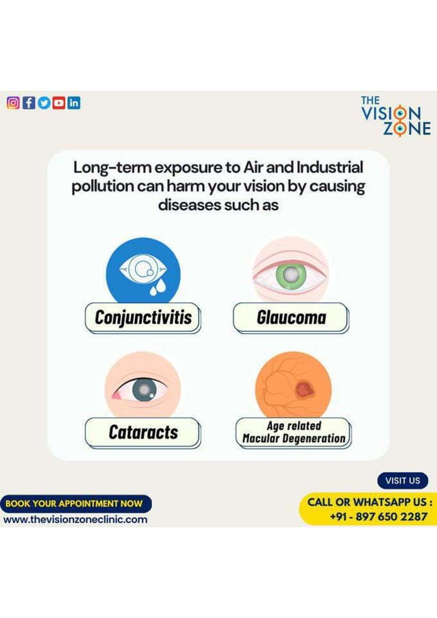 the vision zone.pdf | Eye and Vision Conditions | Diseases and Conditions