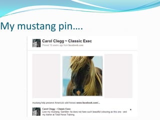 The Visual Attraction of Pinterest | PPSX | Social Networking | Internet