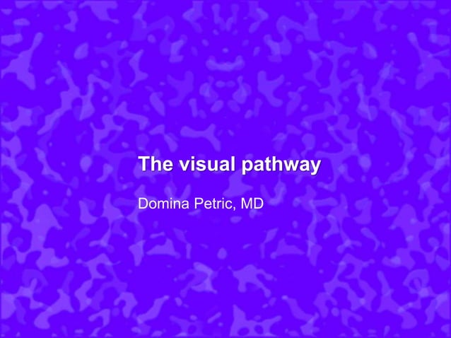The visual pathway | PPT