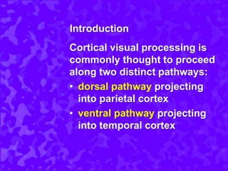 The visual pathway | PPSX