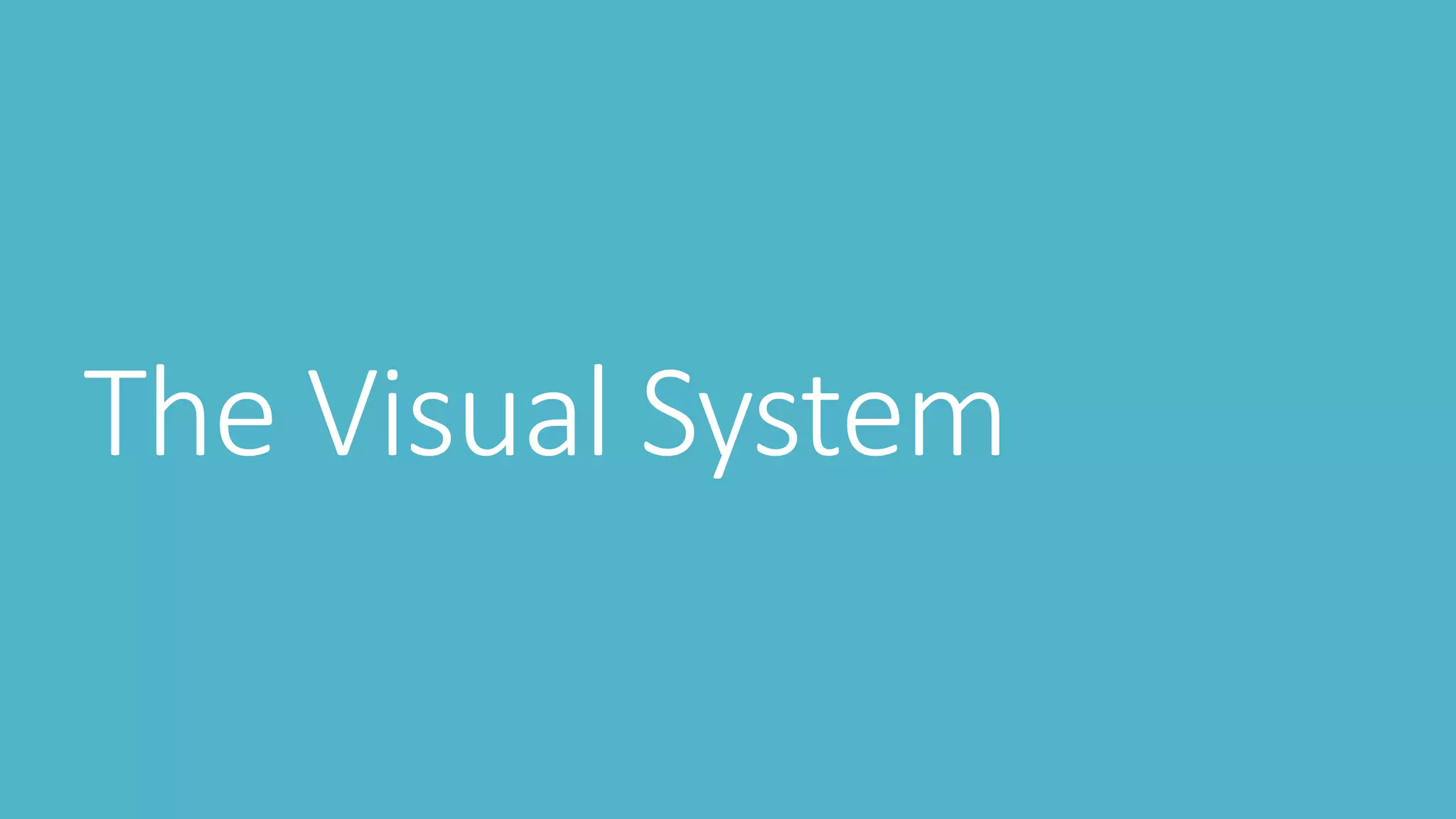 The visual system | PDF