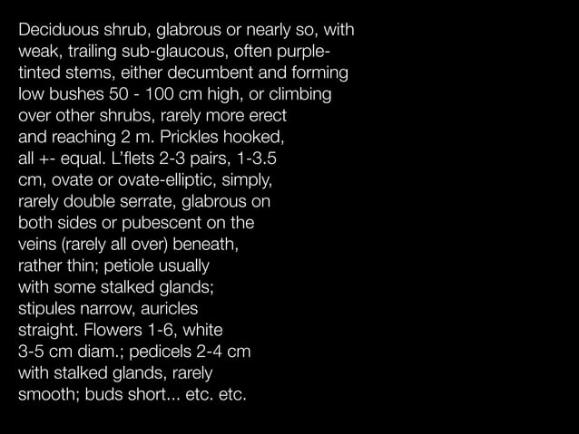 The Visual Terminator | PPT