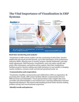 The Vital Importance of Visualization in ERP Systems.pdf