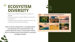 The Vital Role of Forests in Our World.pptx