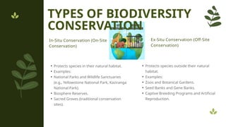 The Vital Role of Forests in Our World.pptx